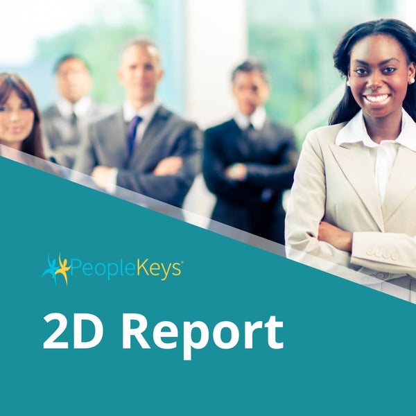 DISCinsights - Online Store for PeopleKeys DISC Assessments